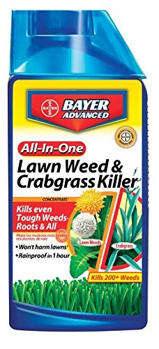 Best Weed Killer for Lawns - Best Manual Lawn Aerator