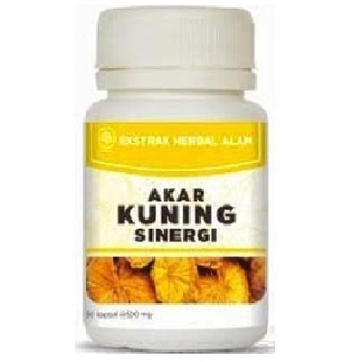 Akar Kuning Sinergi HPAI ~ Info Jaga Kesehatan