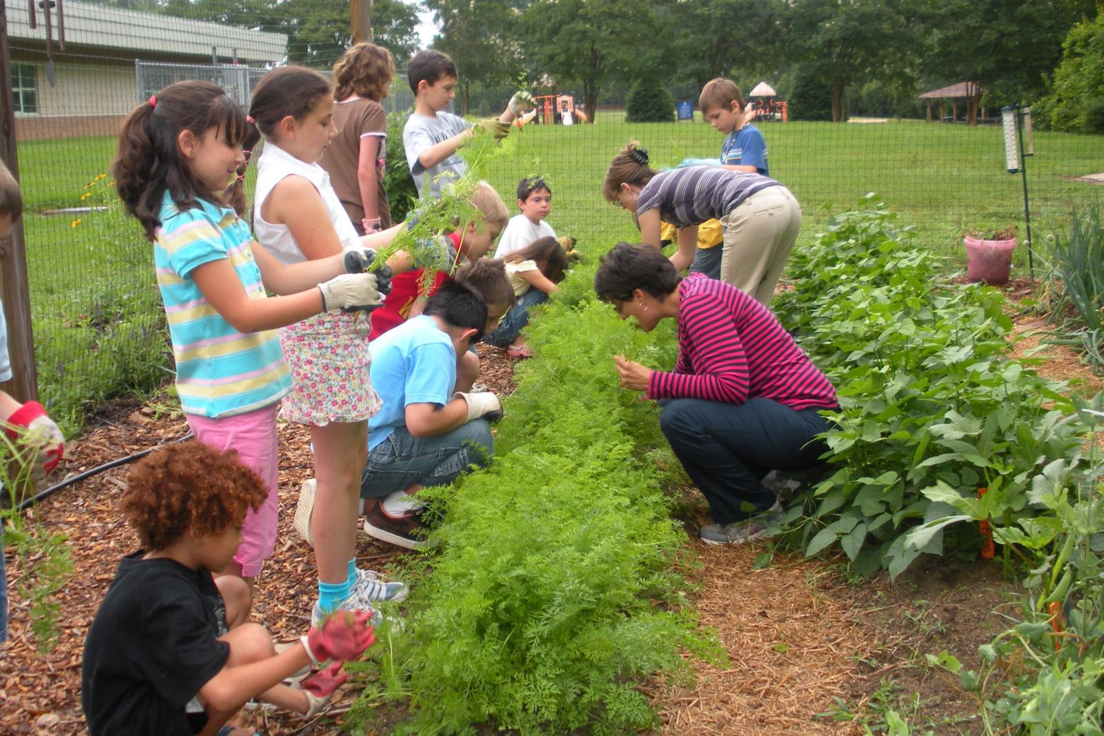 Kate Campbell's Word Garden: Use the Popcorn Principle When Gardening ...
