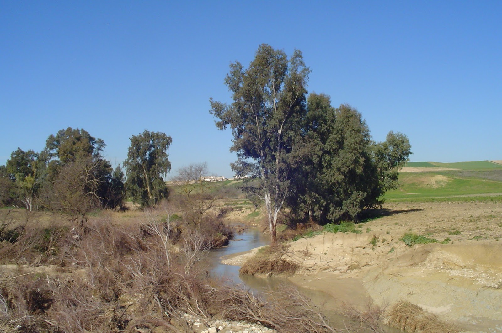 Universo del Genil: ENTRE DOS AGUAS