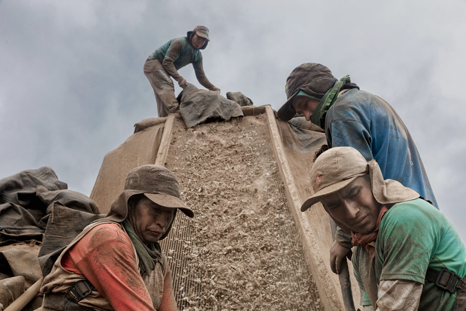 Cuando despertó, el dinosaurio todavía estaba allí: La dura extracción ...
