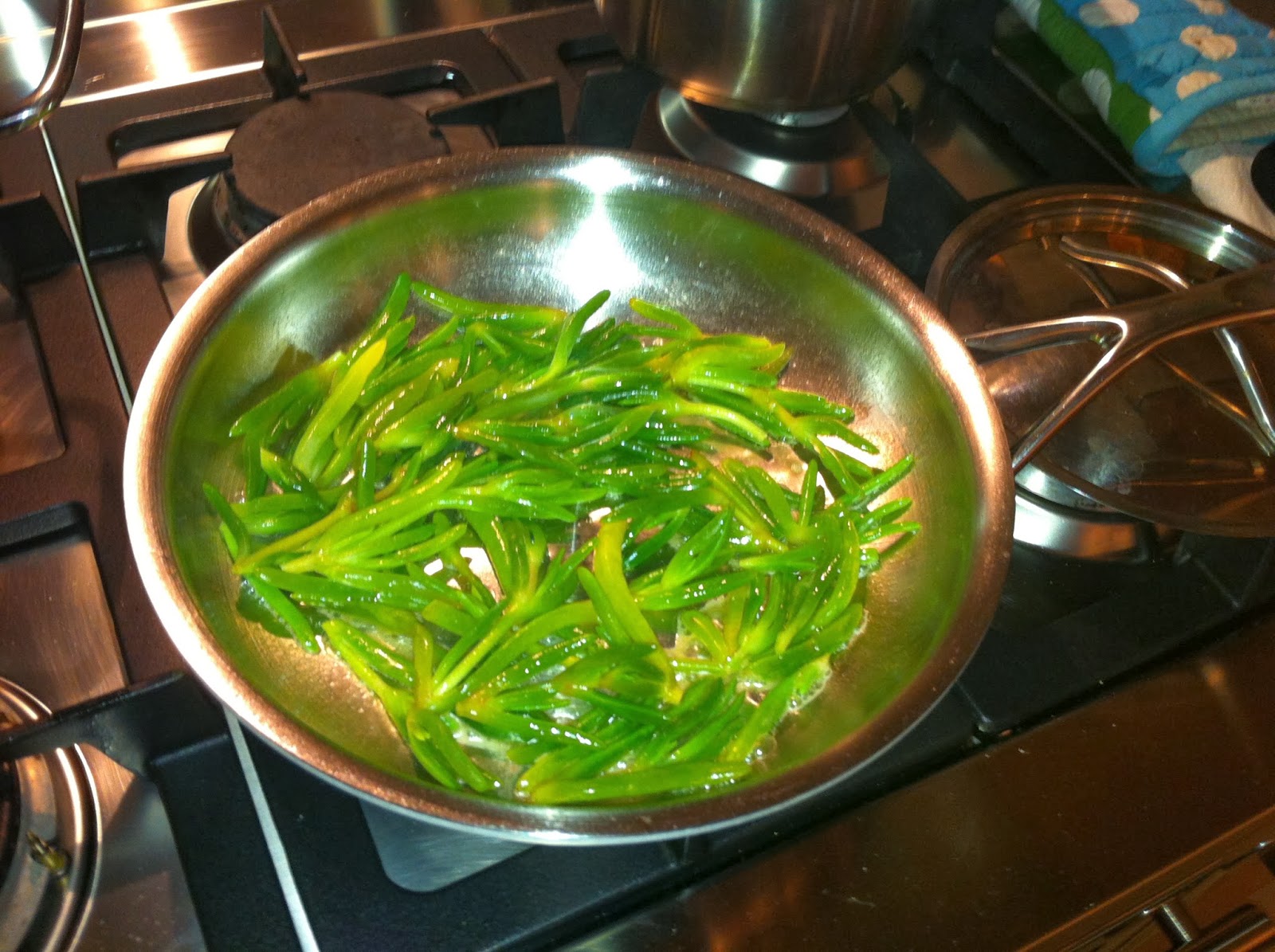 Foodstuff by Céline & Jeanpaul: Product to watch Karkalla [Zeebananen]