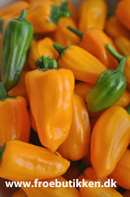 Frøskuffen: Scoville skalaen. Hvor stærk er stærk?