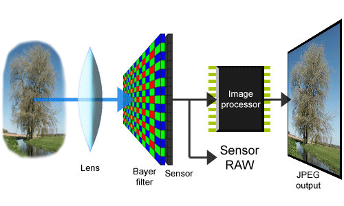 La cámara fotográfica digital II