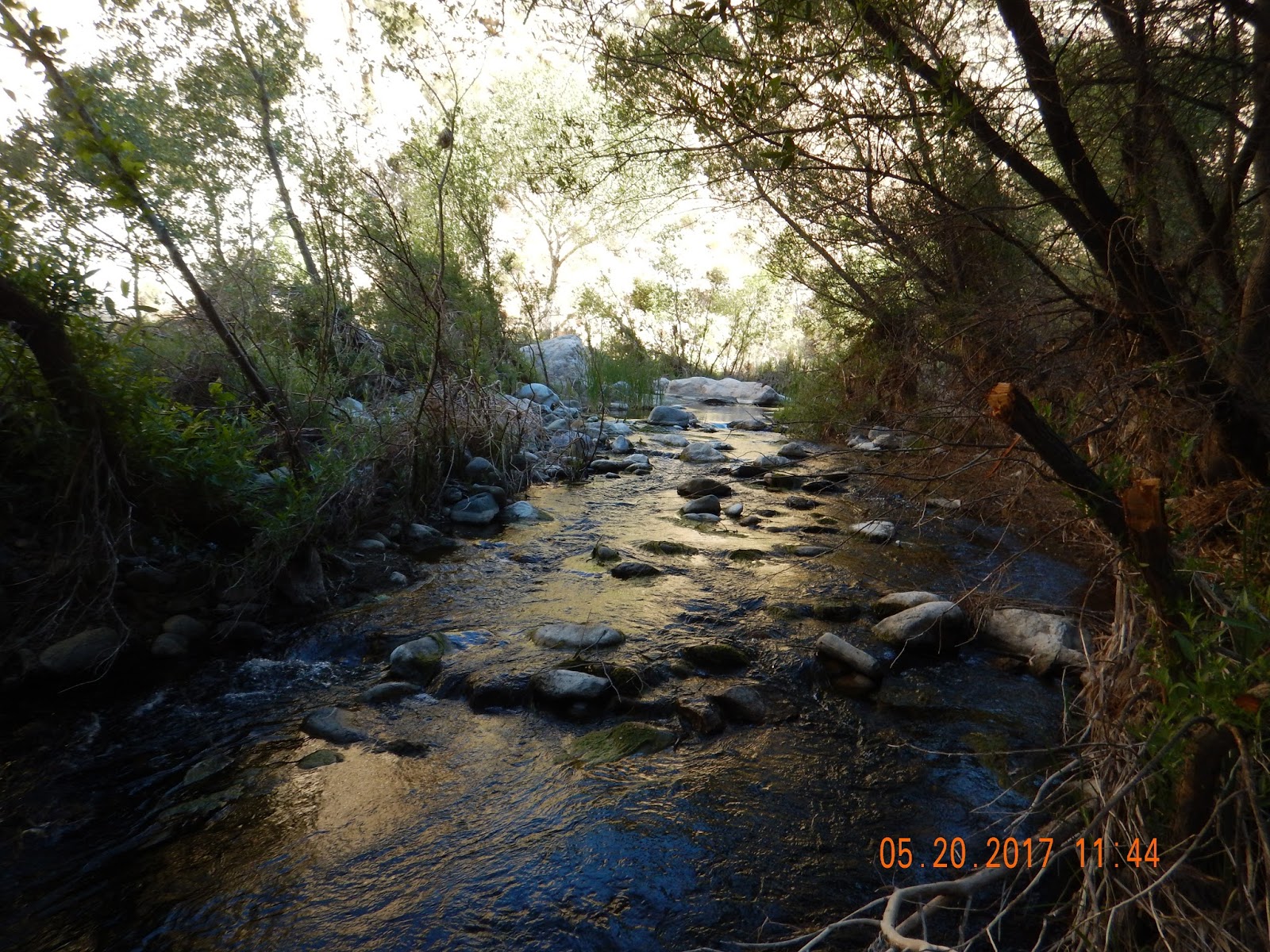 Lost In The Los Padres: Piru Creek Drainage from Lake Pyramid to Lake Piru