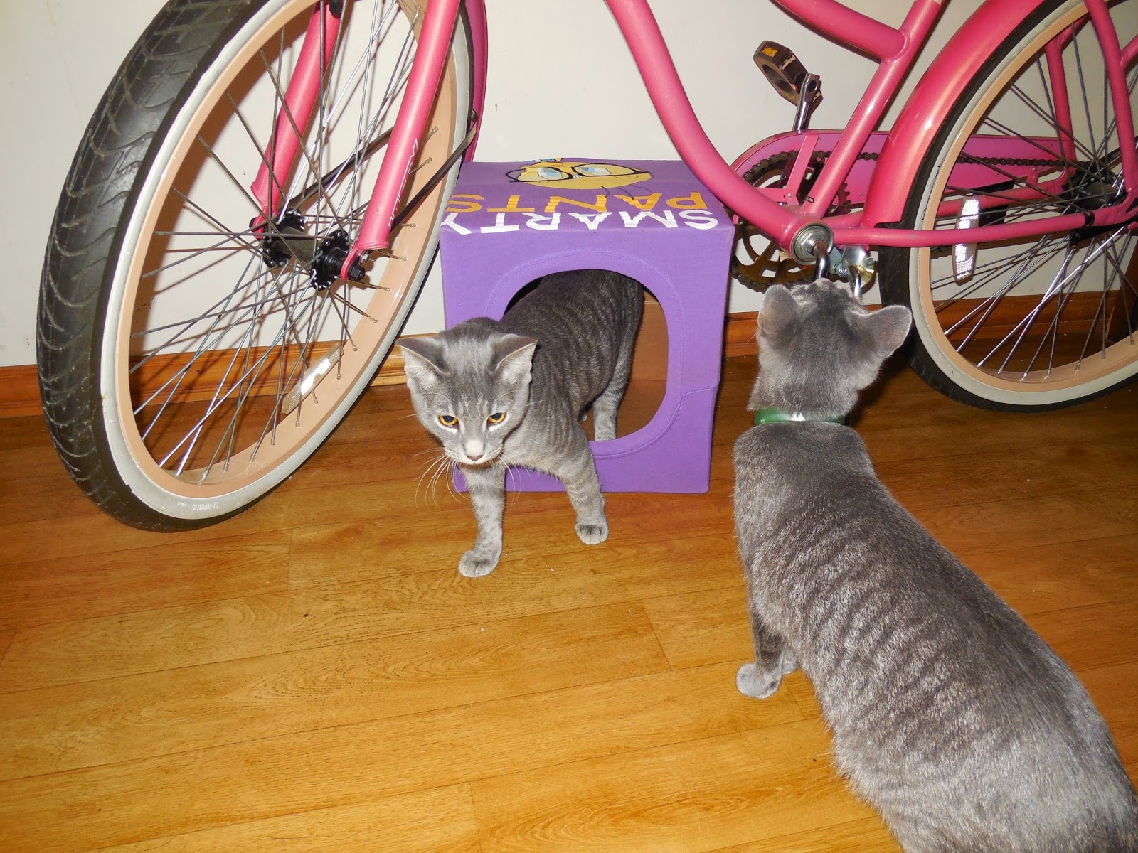 ThriftyTreeHuggary: DIY Upcycled Kitty Cubicle