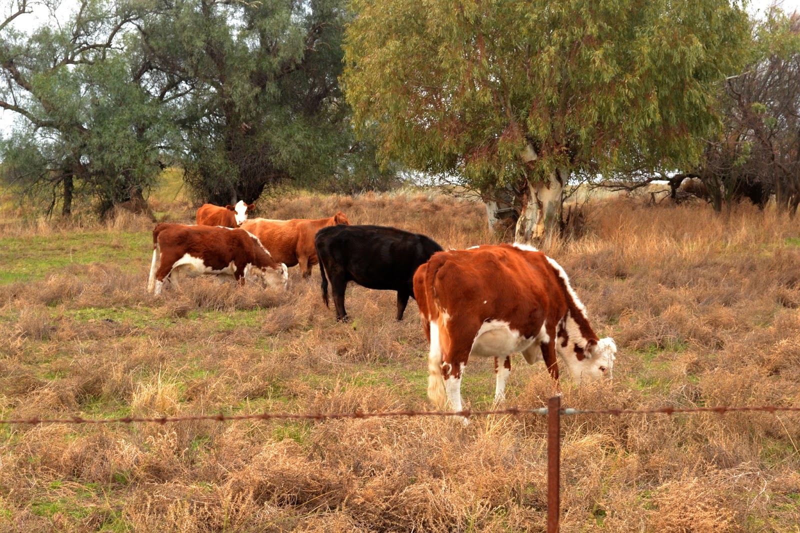Claudio Tomassini: Médanos - Claudio Tomassini Fotografía