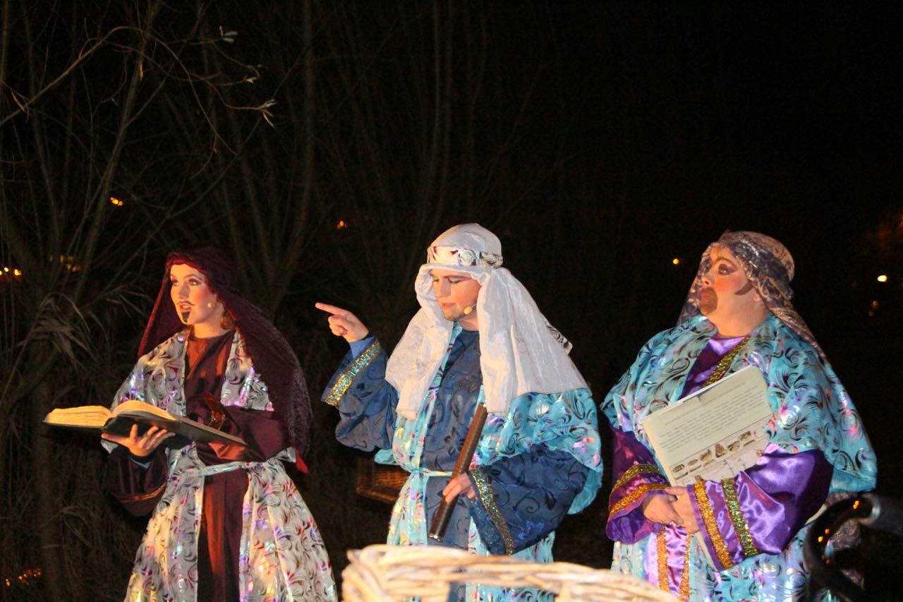 Theo Krins: Kerst Wandel Theater 2014