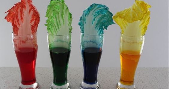 Percobaan Sains Anak|Pendidikan Anak|Percobaan Sains Sederhana dan ...