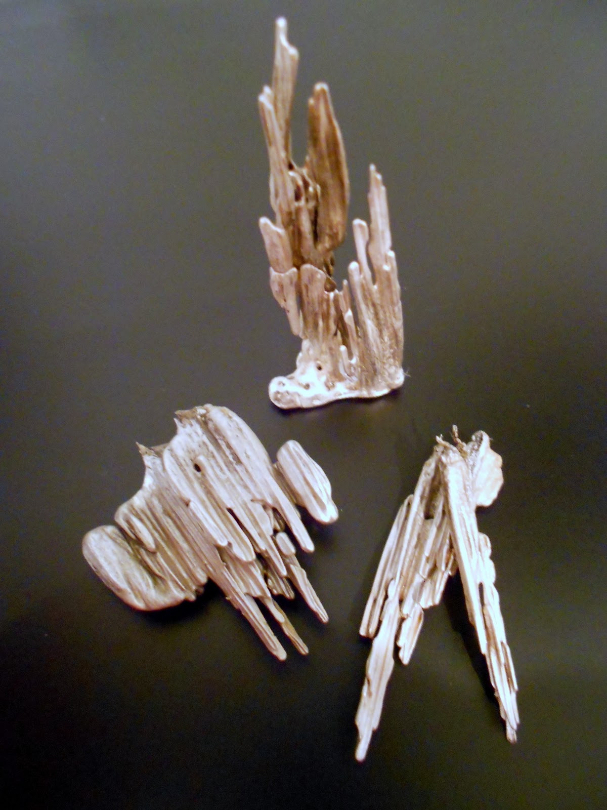 North Coast Metal Arts Guild: Fun with Cuttle Bone Casting!