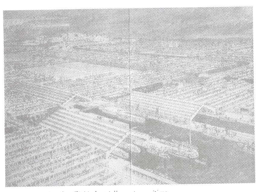 Arquitetura e Engajamento: TONY GARNIER E SUA ANTEVISÃO DO SÉCULO XX