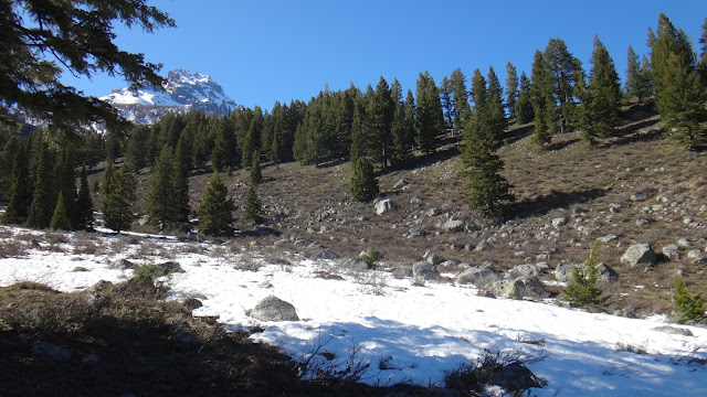 WYOMING WHISKEY: Burned Wagon Gulch