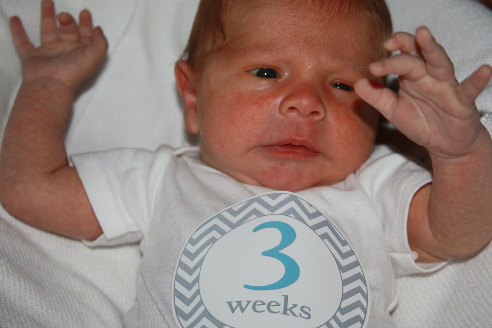 The Evolving Elseners: Three Weeks Old