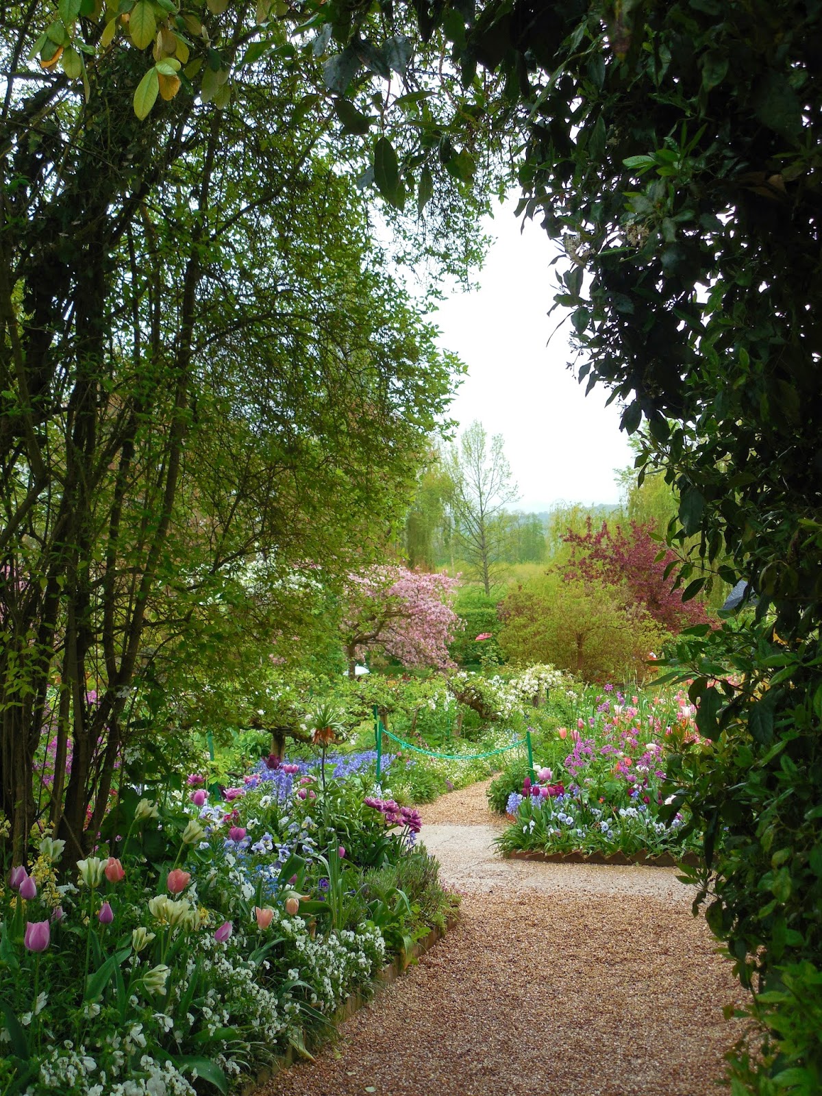 Teatime Journeys: Day 8- Monet's Garden