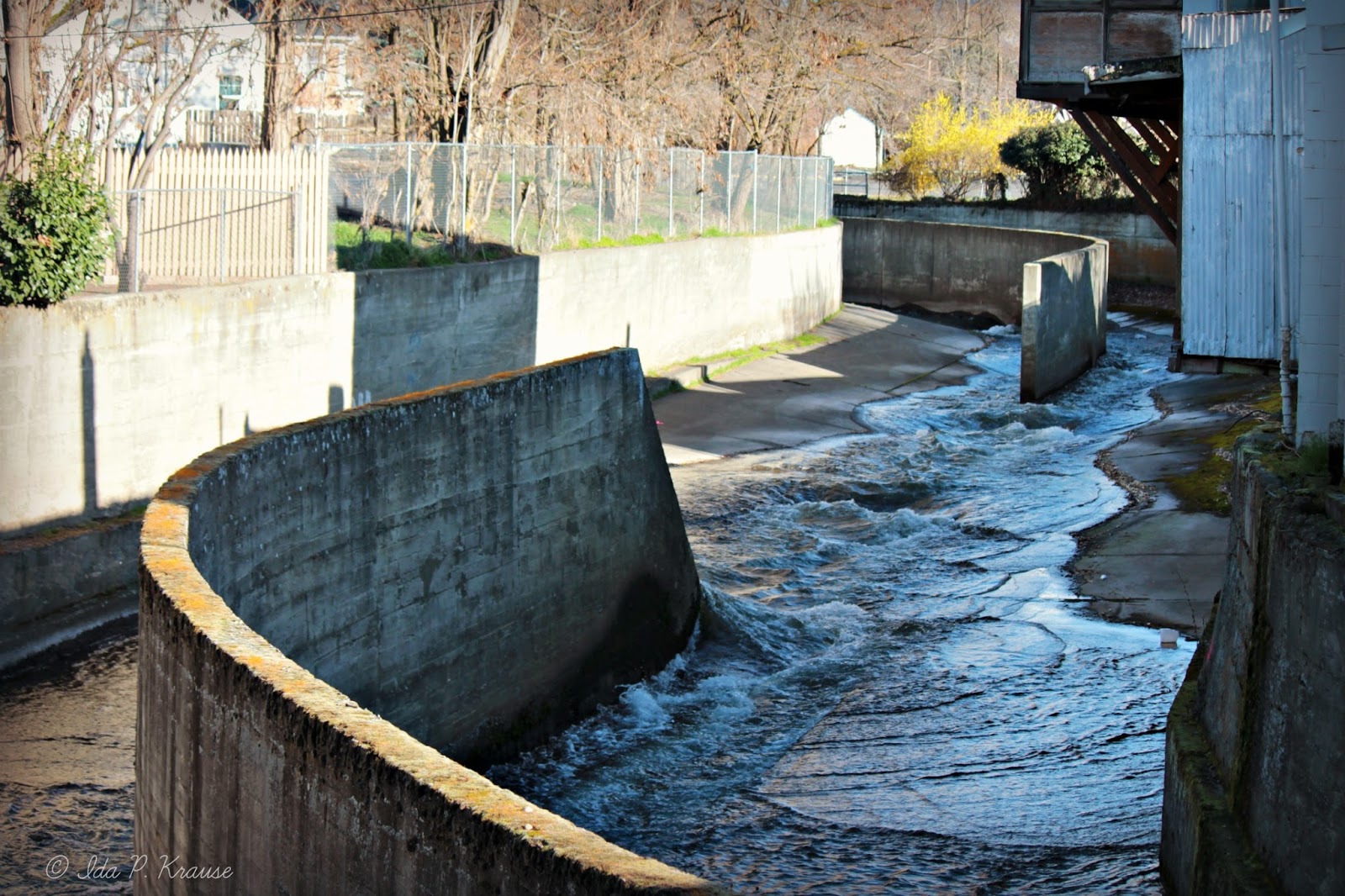 Wishes, Dreams & Other Things: Good Fences #104 - Mill Creek Flood ...