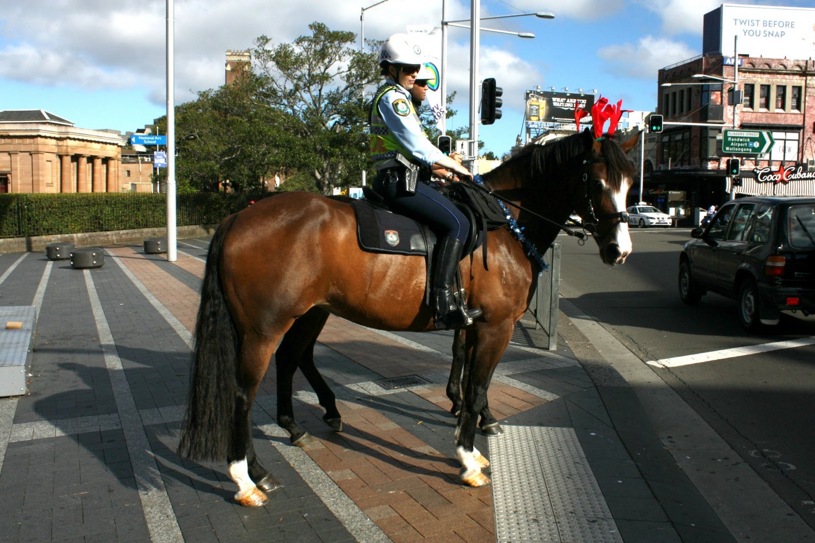 Sydney - City and Suburbs: Darlinghurst, mounted police
