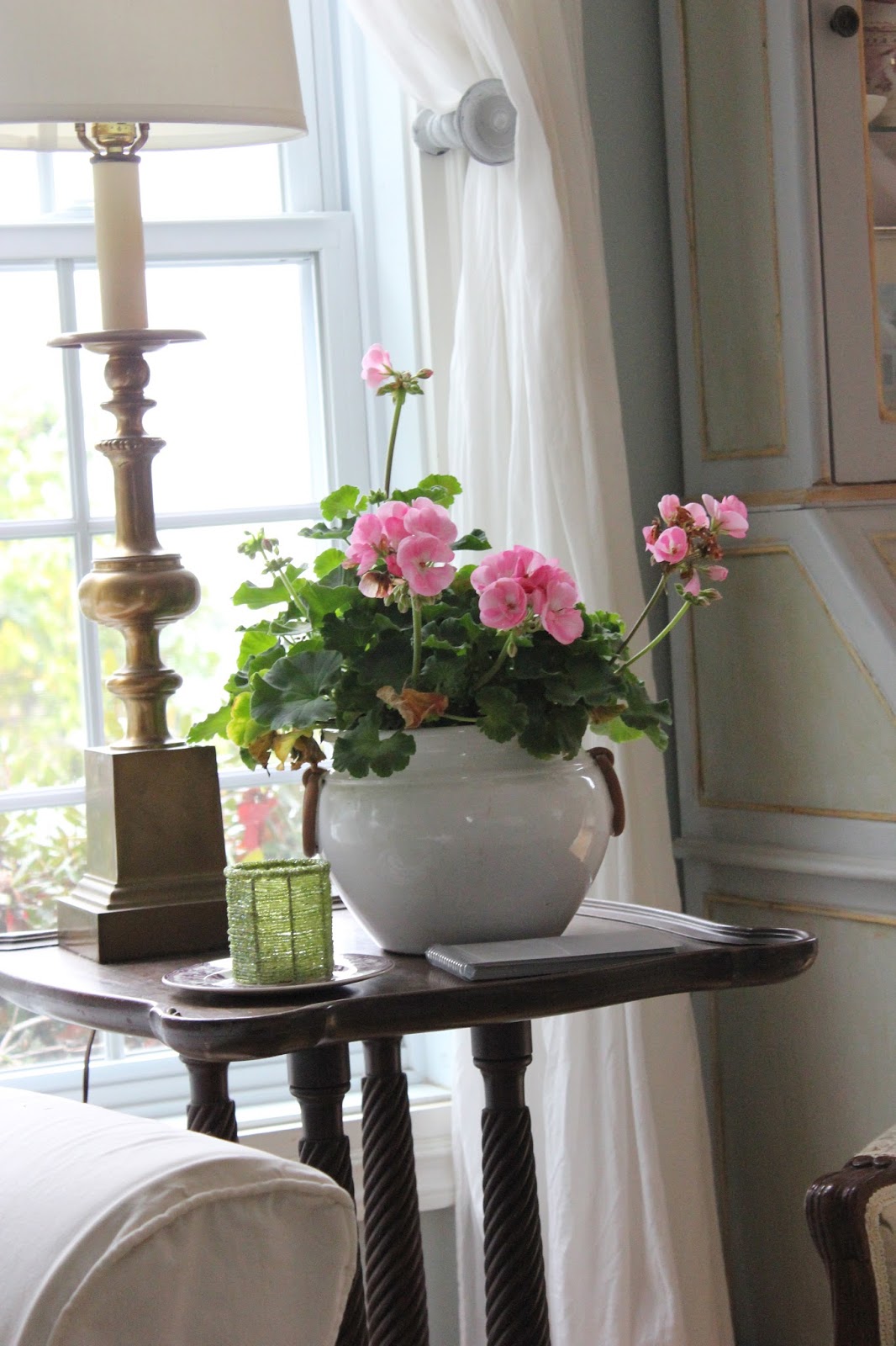 Maison Decor: Potting Up Geraniums