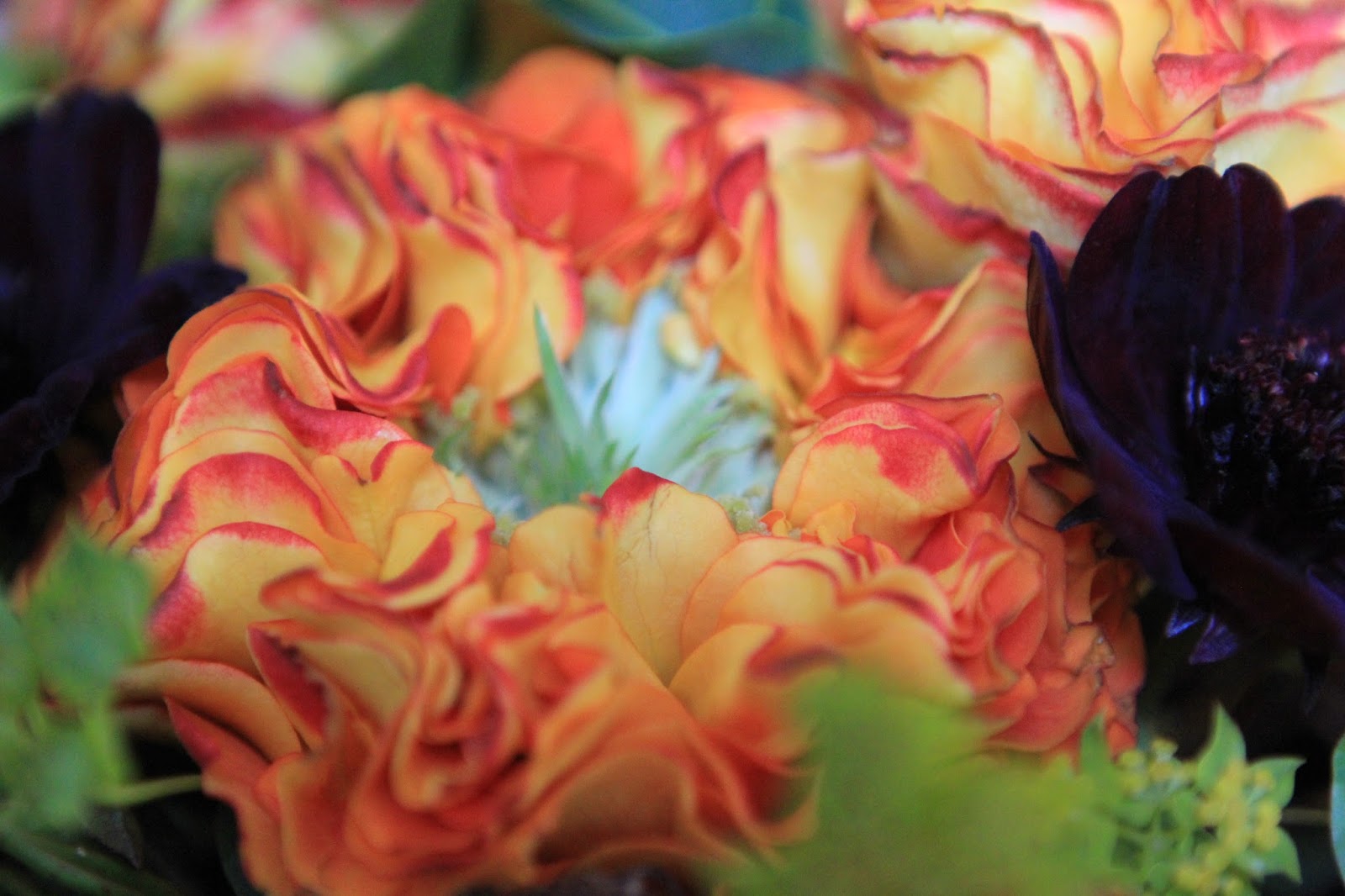 Romancing the Home: Fall Color and Inspiration from Twigs