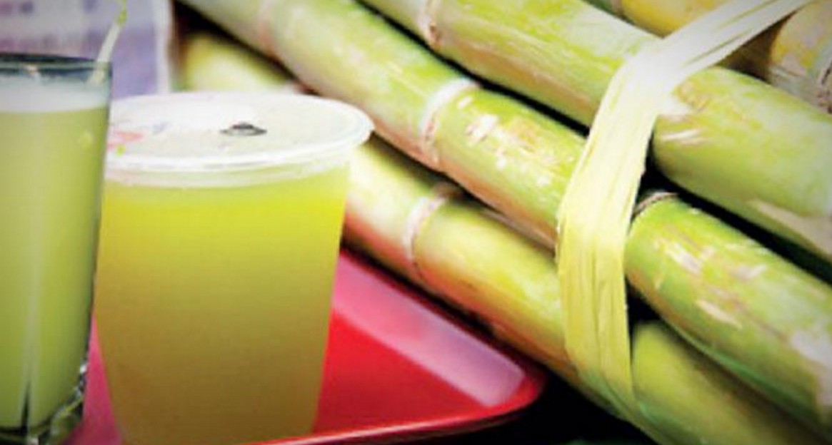 Gambar Tebu Gelas - Manfaat Tebu Hitam - Eventkampus.com - adamelimpah.com