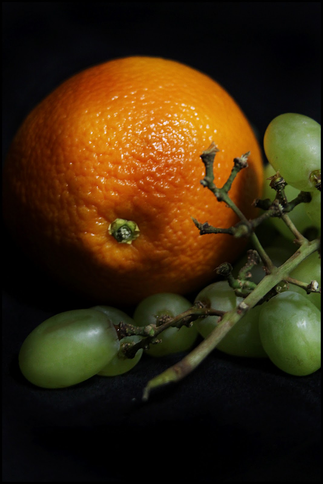 Michaela Shipman- Digital Artist and Photographer