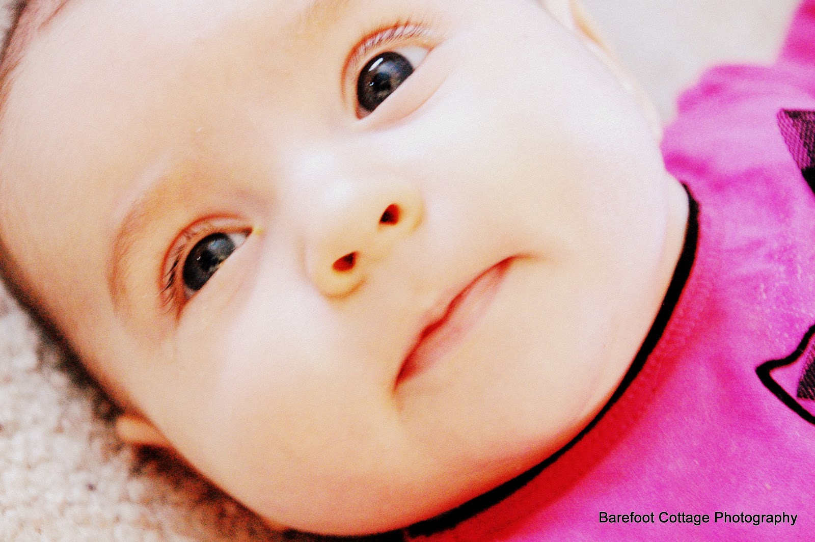 The Magic of an Ordinary Day: Squishy Baby Cheeks..