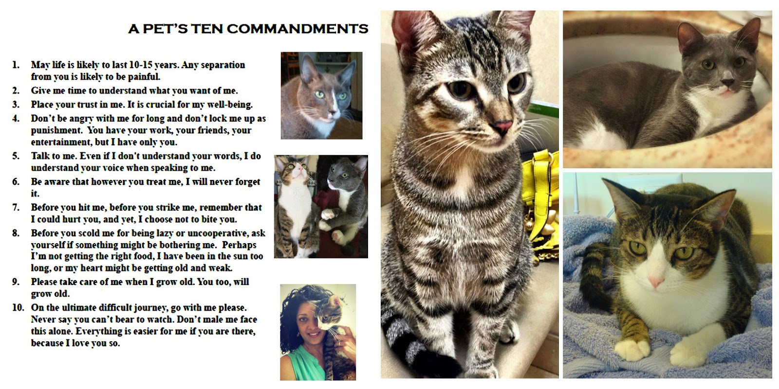 Nadiya...Loving Every Moment: A Pet's Ten Commandments And so Much More