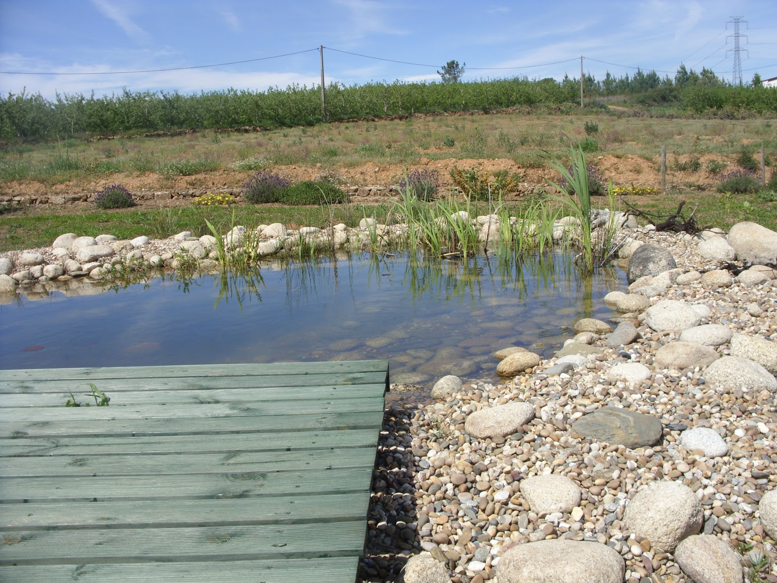 Jardim Autóctone: Construção de um charco/lago