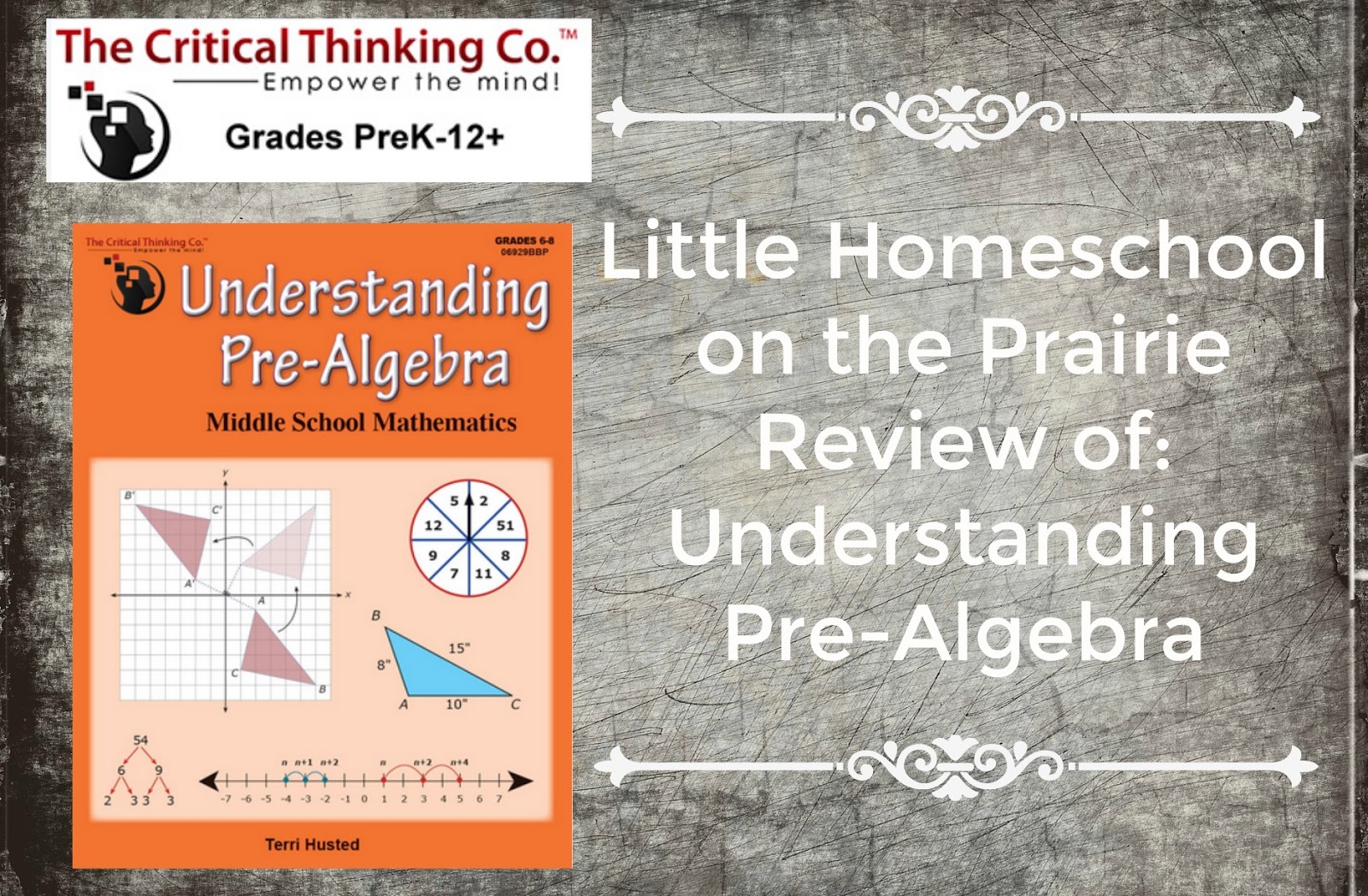 Little Homeschool on the Prairie: Understanding Pre-Algebra Review
