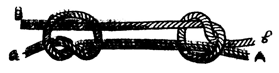 Tali temali : Simpul Erat, Simpul Kembar, Simpul Kursi, Simpul Pangkal ...