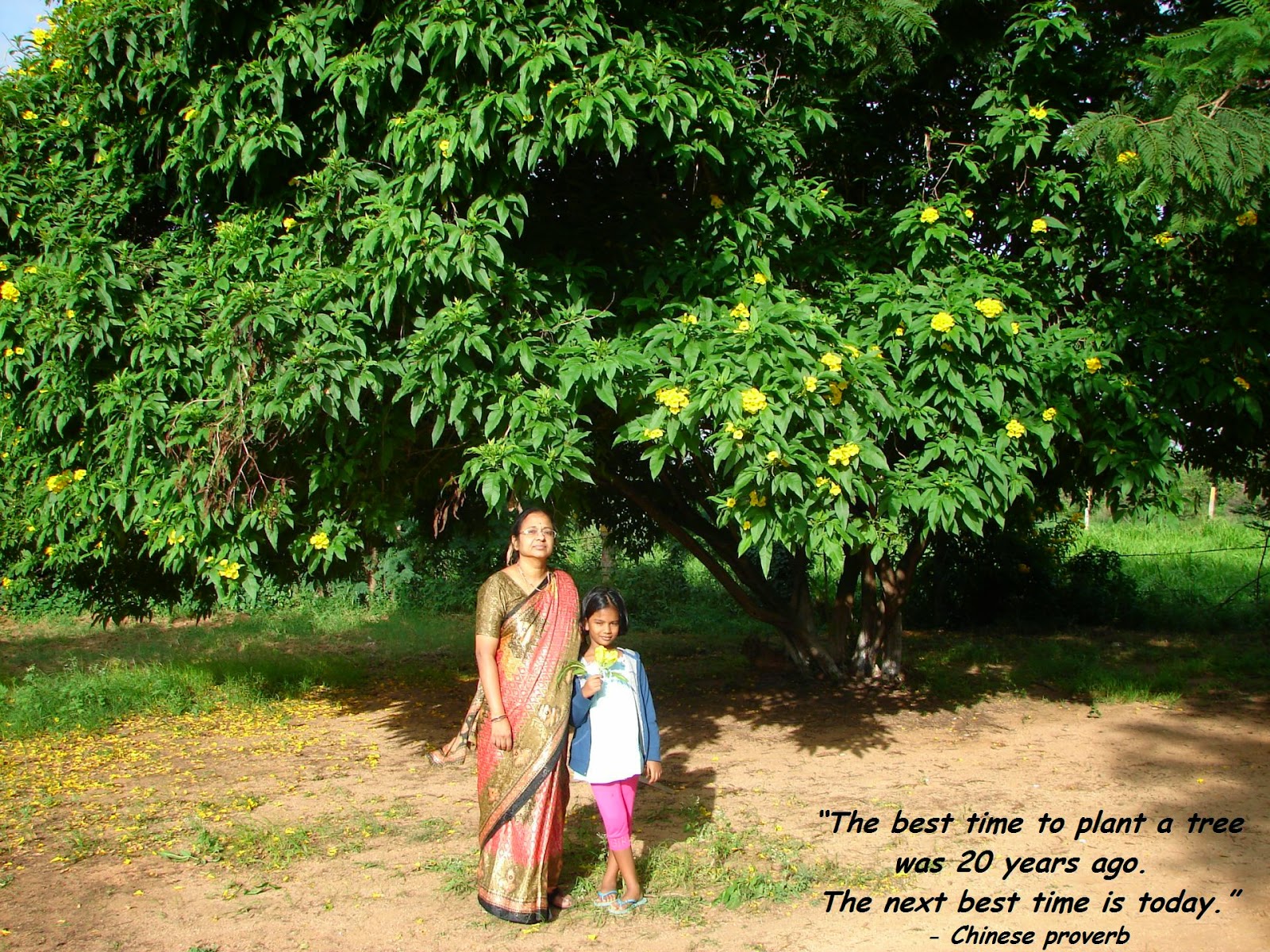Raghu's column!: “Plant Trees, Save Trees” – Posters by Lalitha ...