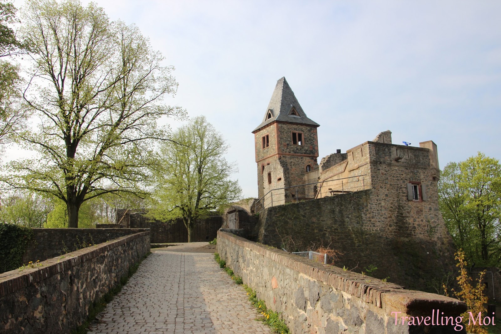 Travelling Moi: Ruins of Frankenstein Castle