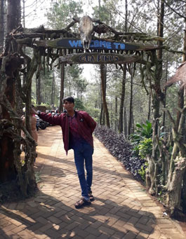 Menjajal Spot Foto Unik dan Instagramable di Goa Pinus, Gunung Banyak ...