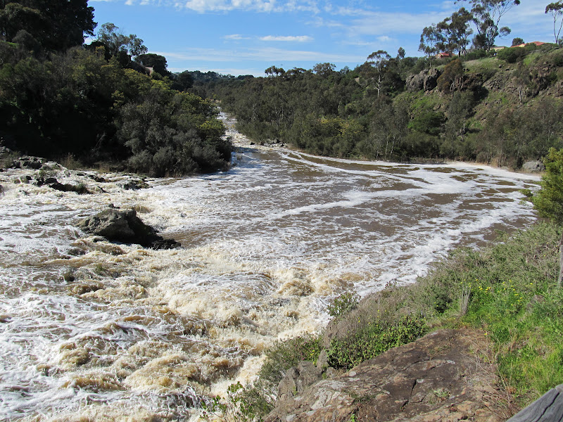 Barwon Blog: A world of rivers