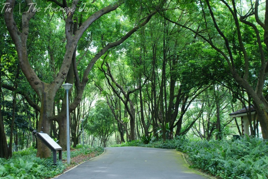 The Average Jane: Kent Ridge Park, Singapore
