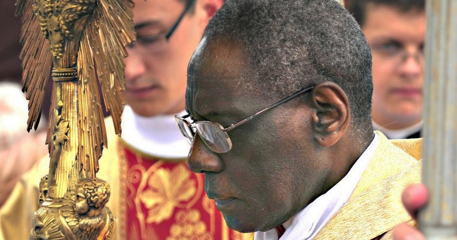 Por que o Cardeal Sarah aterroriza seus críticos O Fiel Católico