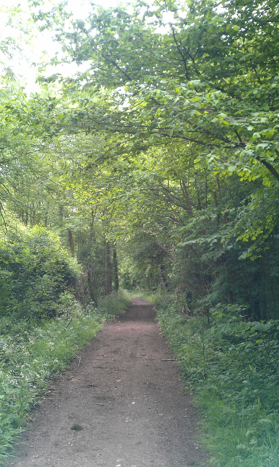 MODERN-DAY EXPLORERS: BOAT: Harrow Way