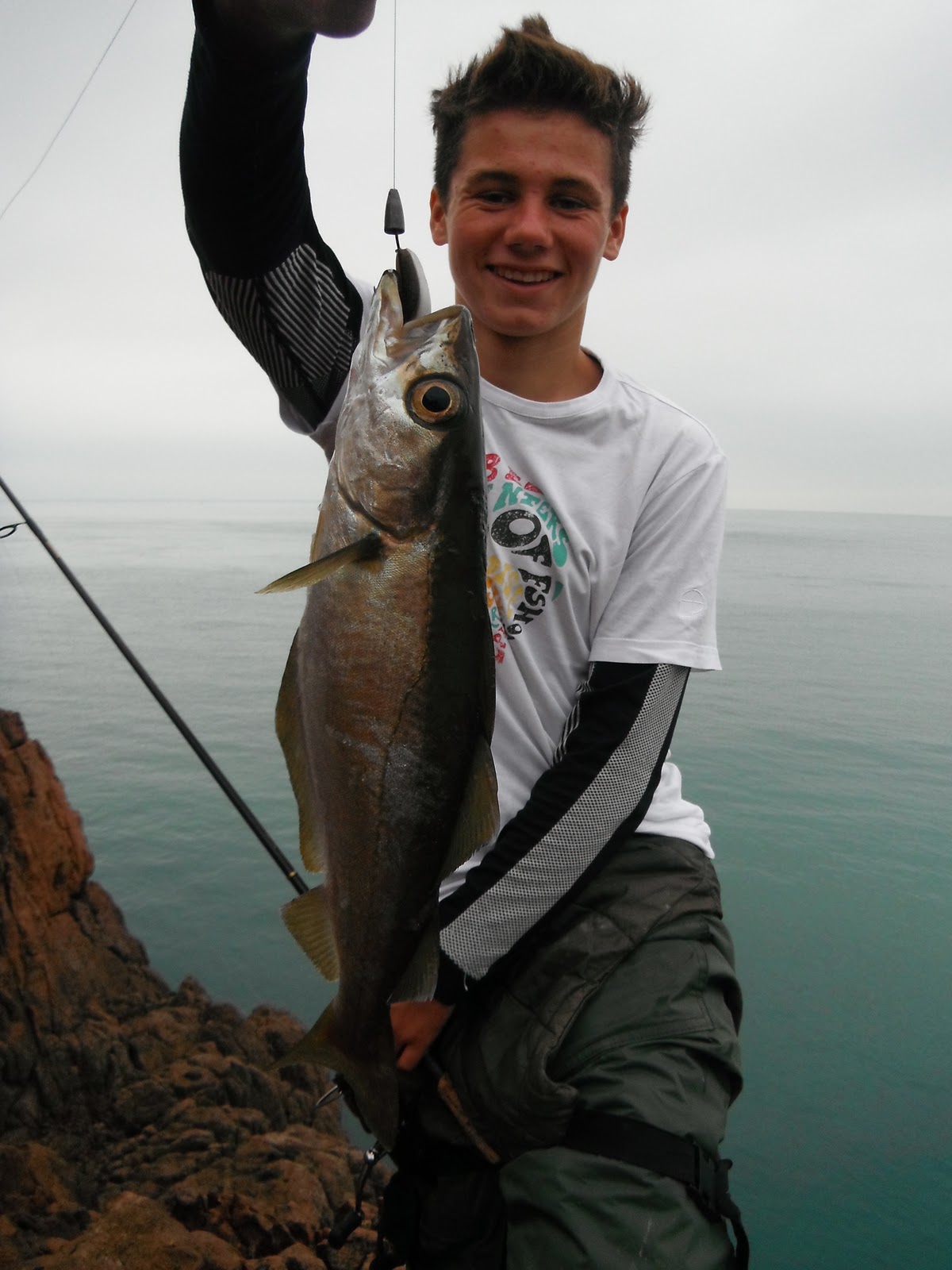 Fishing Jersey Channel Islands: Bass Assassin Lures
