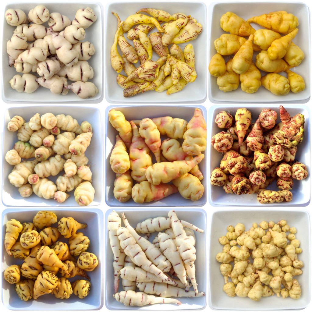 Chile Relleno: Comida Colombiana