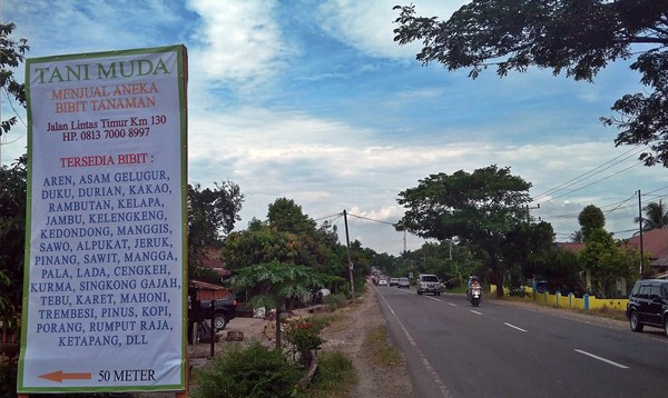 Membangun Pabrik Kelapa Sawit (PKS) Mini