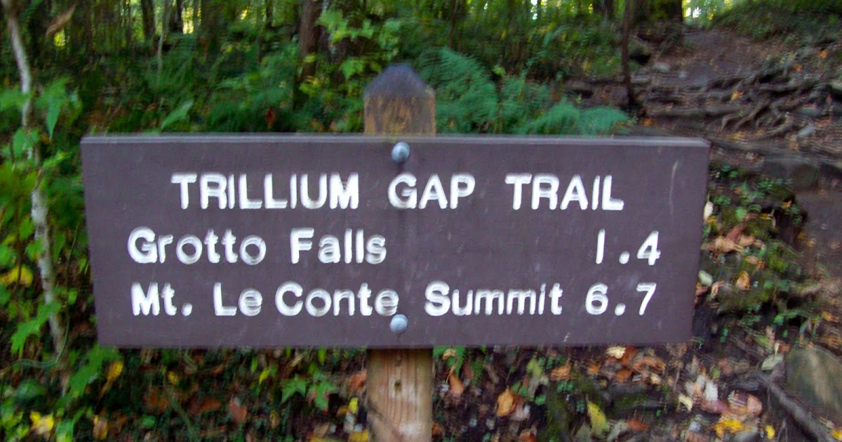 Trillium Gap Trail