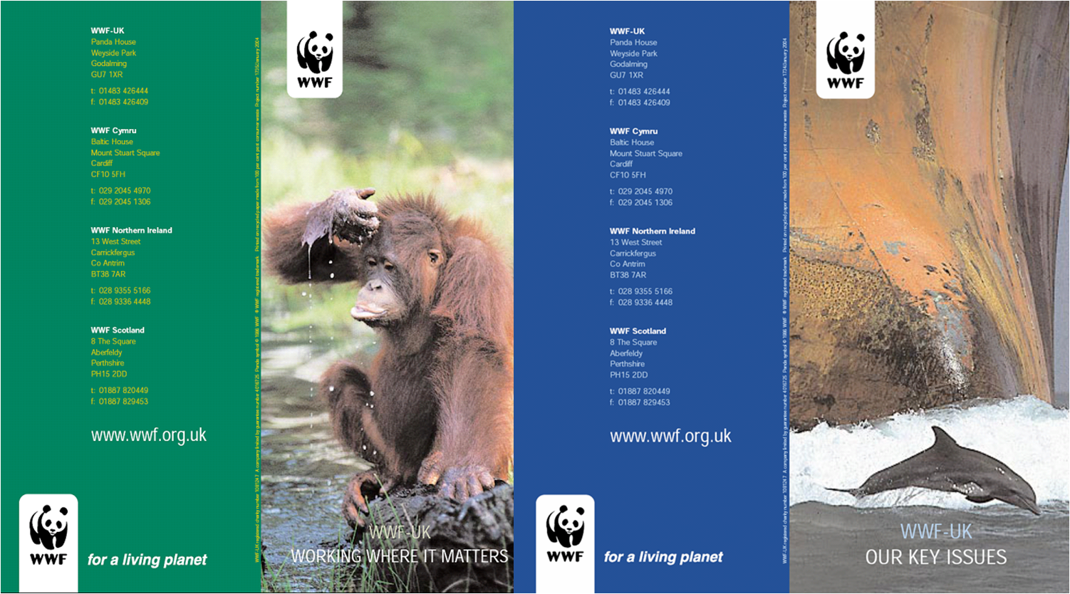 ICT with Miss P - Year 7 Lessons: Lesson 1 - Creating a Corporate Image