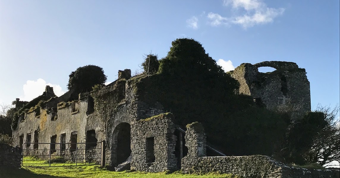 Patrick Comerford: A sunny afternoon by the Shannon and the ruins of ...