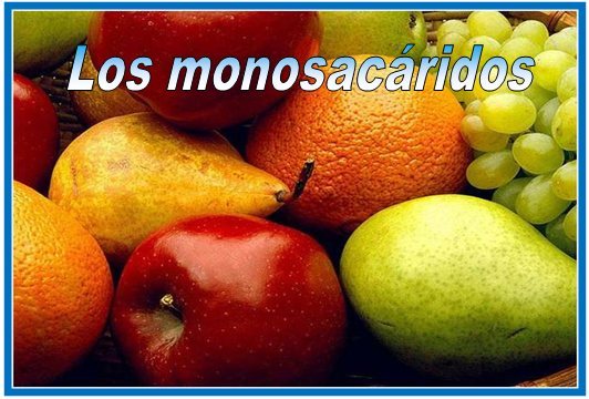Biomoléculas:¿Qué son?, características, tipos,función, importancia y más