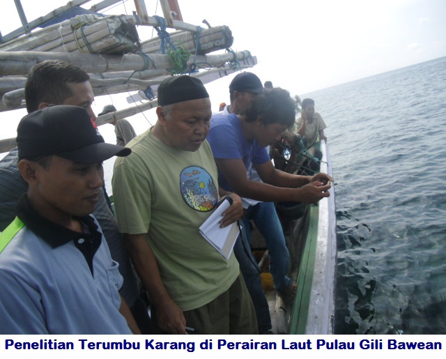 Terumbu Karang di Perairan Laut Gili Nilai Tawar Wisata di Jawa Timur ...