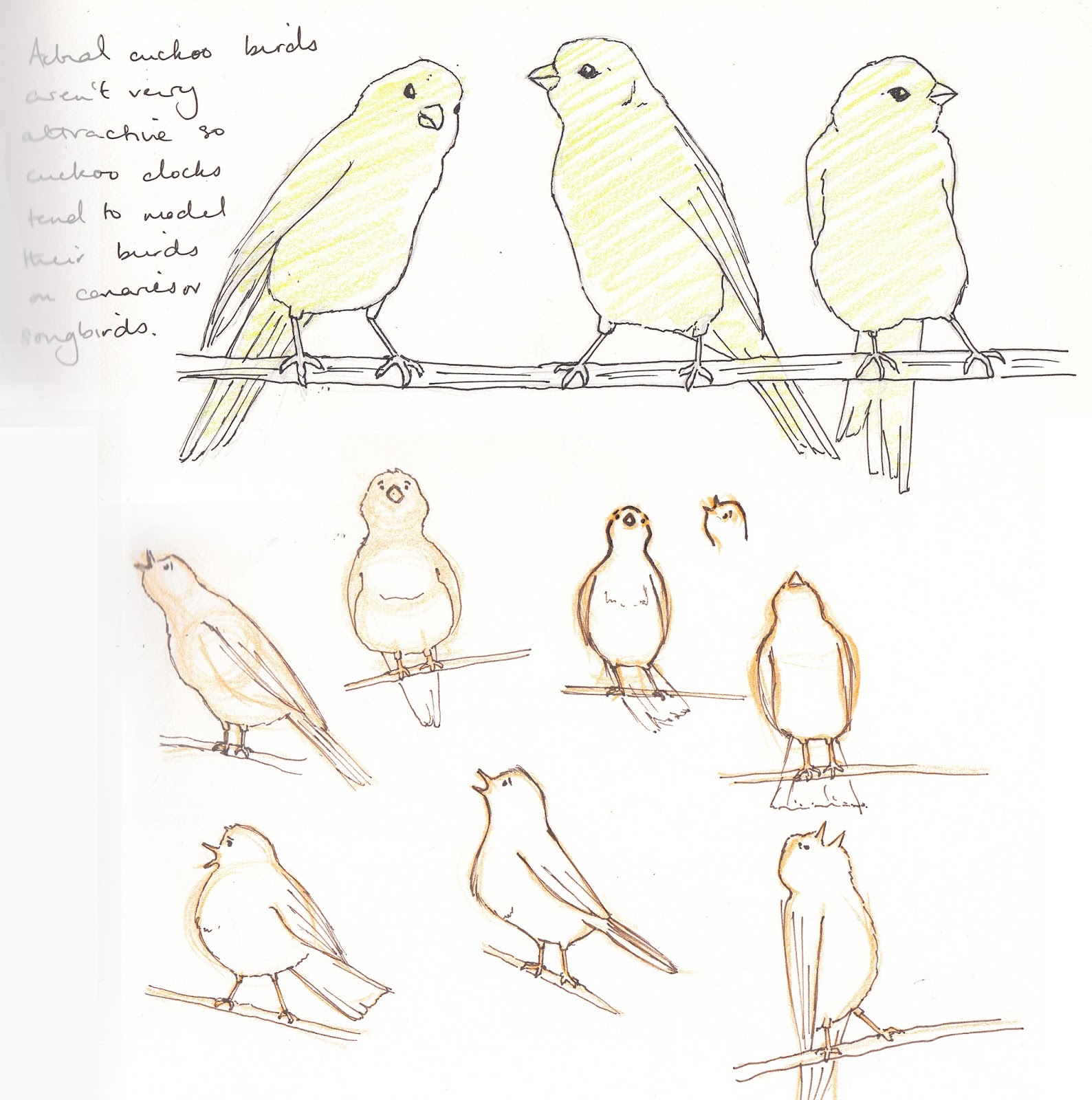 Julia Young Animation: Bird Designs
