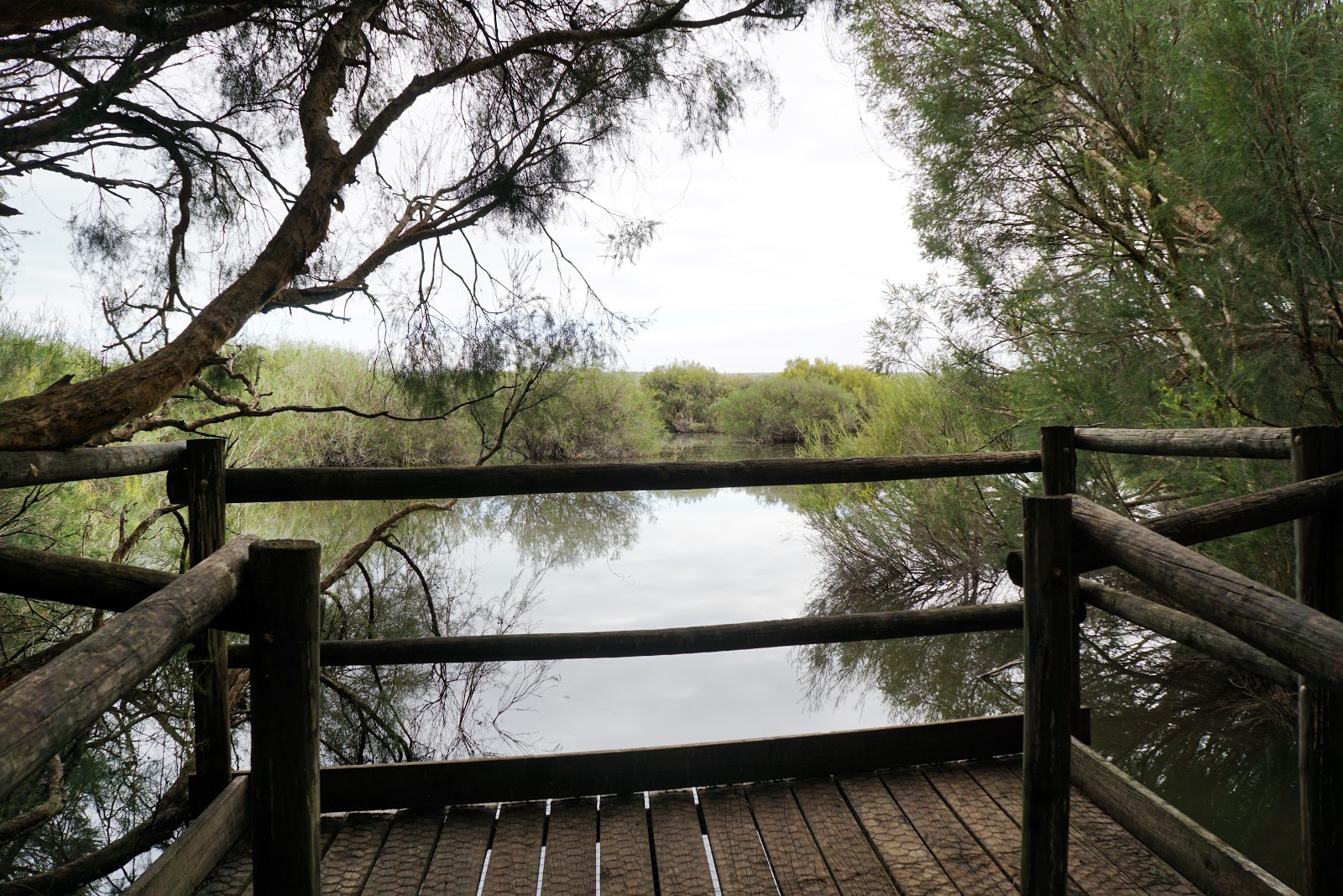 The Spectacles (Beeliar Regional Park) ~ The Long Way's Better