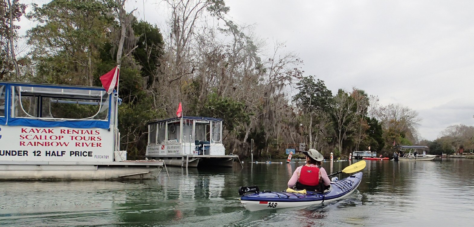 PenobscotPaddles: Florida: Crystal River - Kings Bay