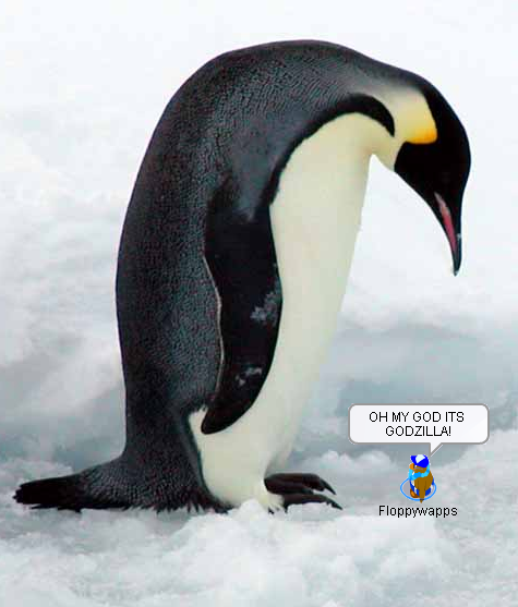 Funny Animals: Funny Penguin