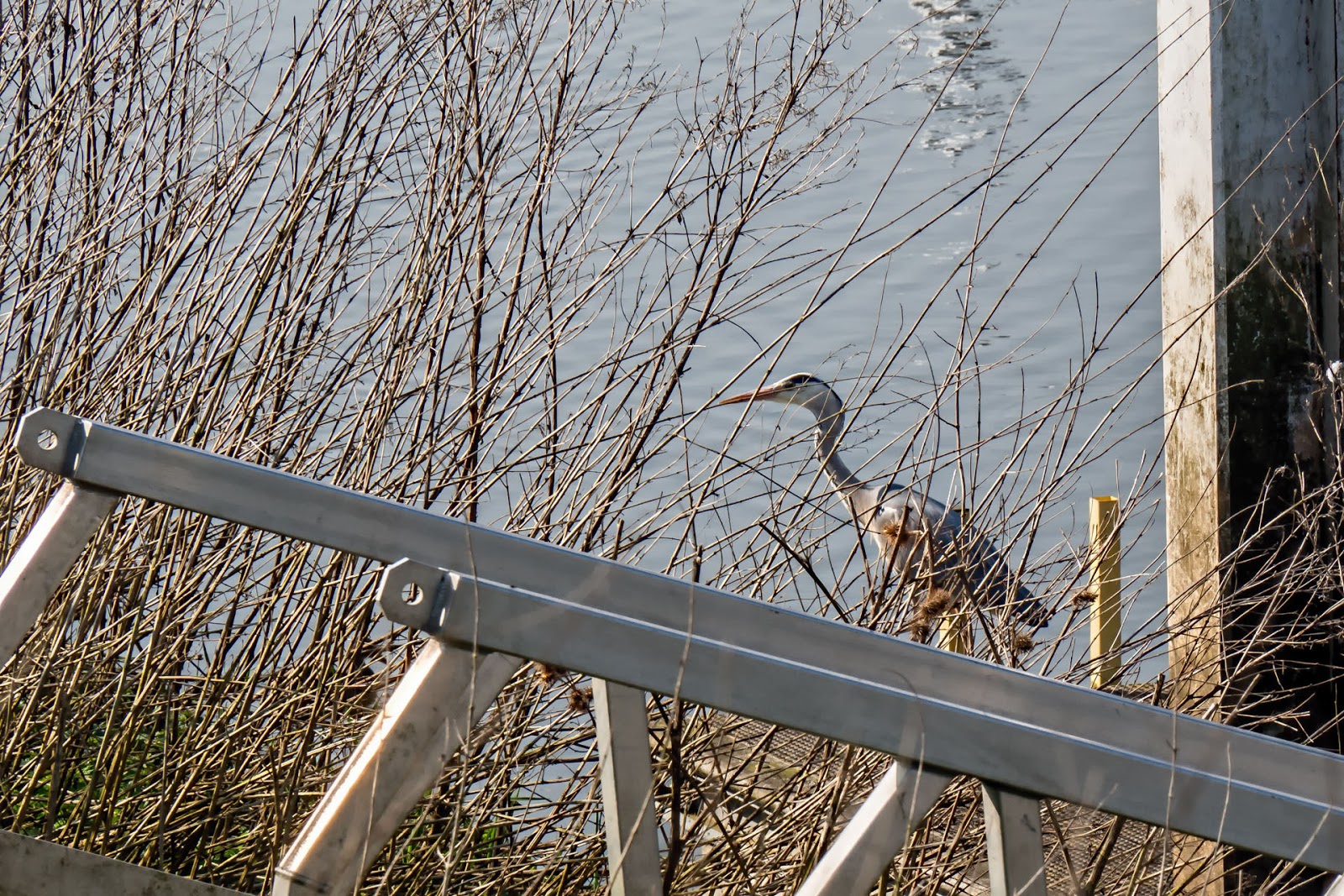 Lincolnshire Cam: Torksey Lock