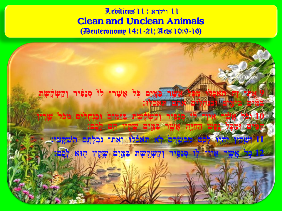 SENI MEMBENTUK GAMBAR: Leviticus 11 : ויקרא 11 Clean and Unclean Animals